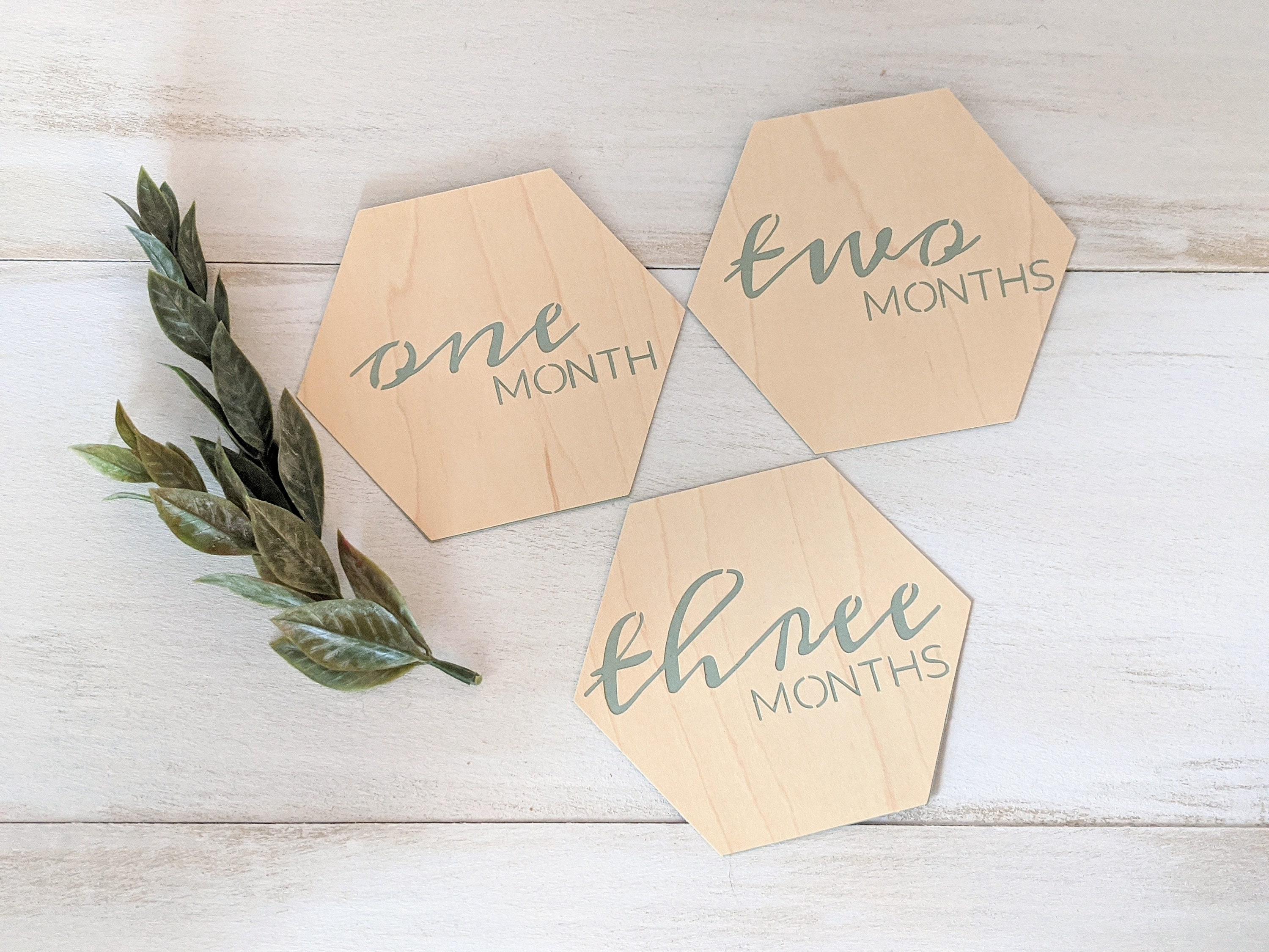 Baby Milestone Card Set 12 // Monthly Milestone Cards // - Etsy