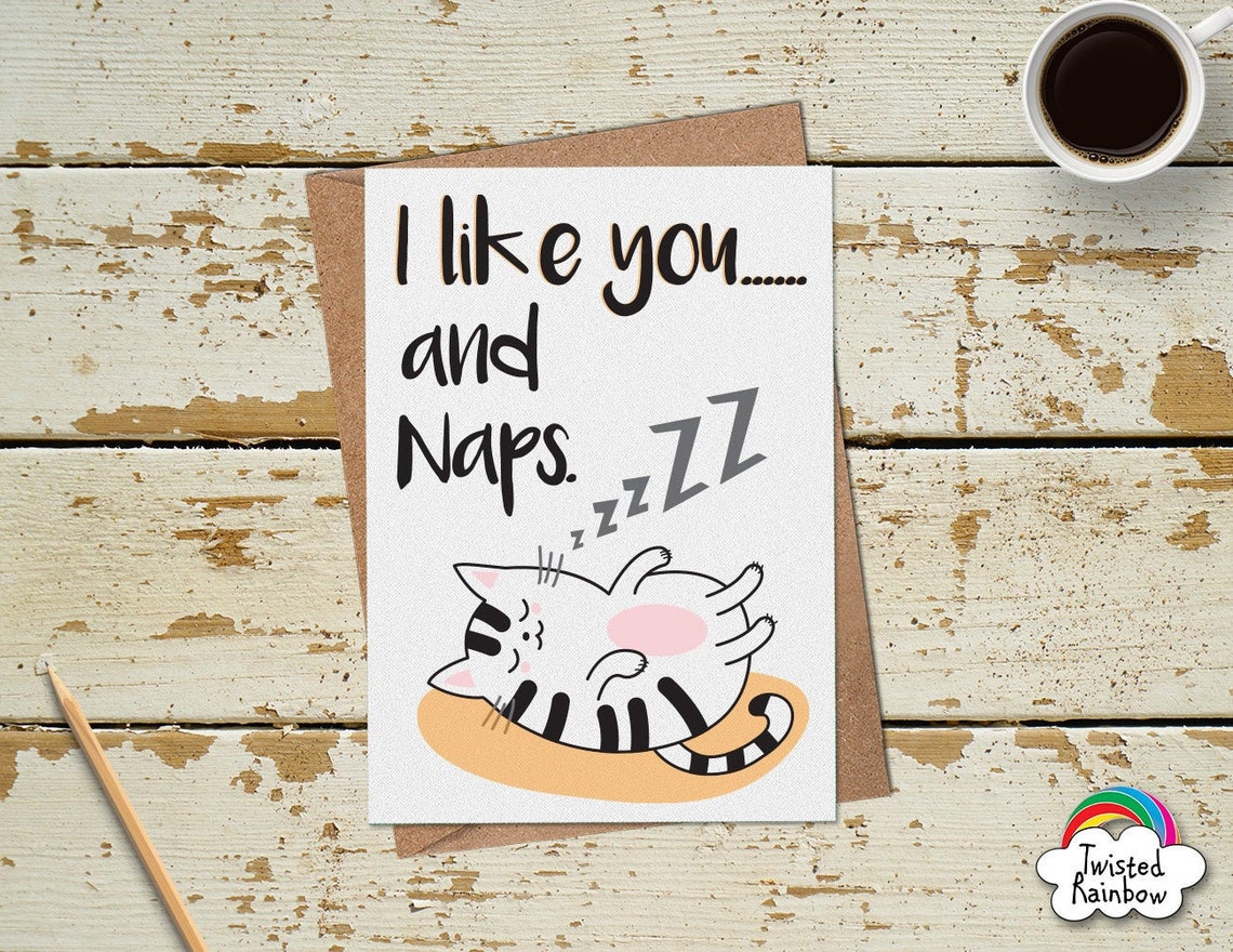 I Like You and Naps Card Funny Card for Her Him Girlfriend - Etsy
