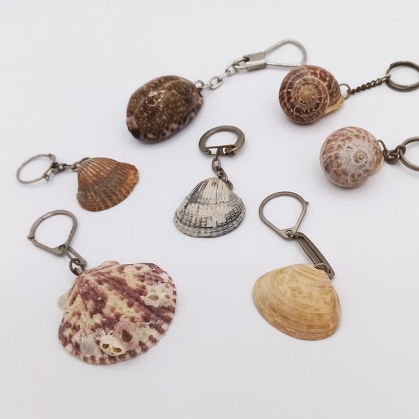 Sea Shell Keychain - Etsy