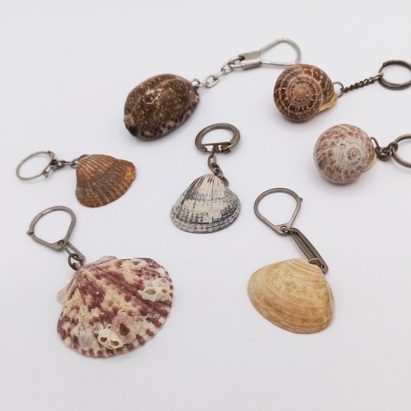 Sea Shell Keychain - Etsy