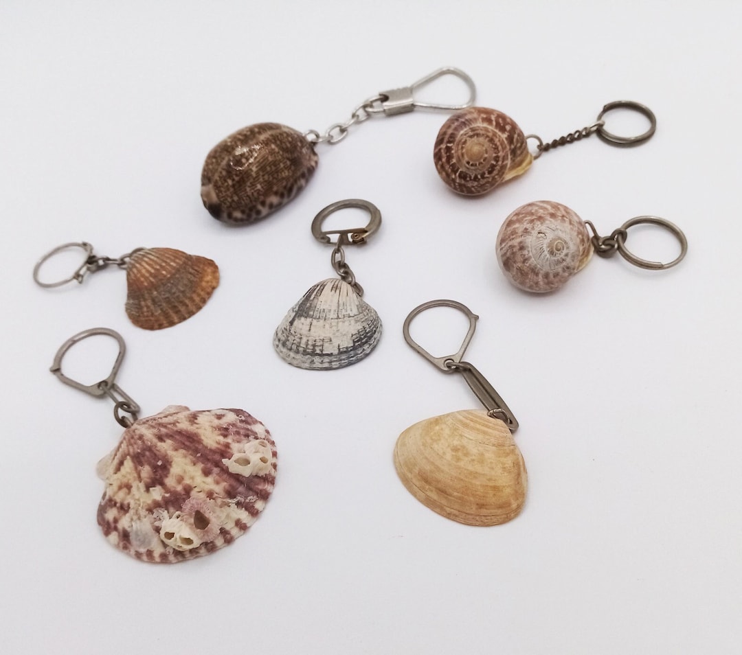From 1960s Sea Shell Collection Keychain Choice of One, Shell Keychain ...