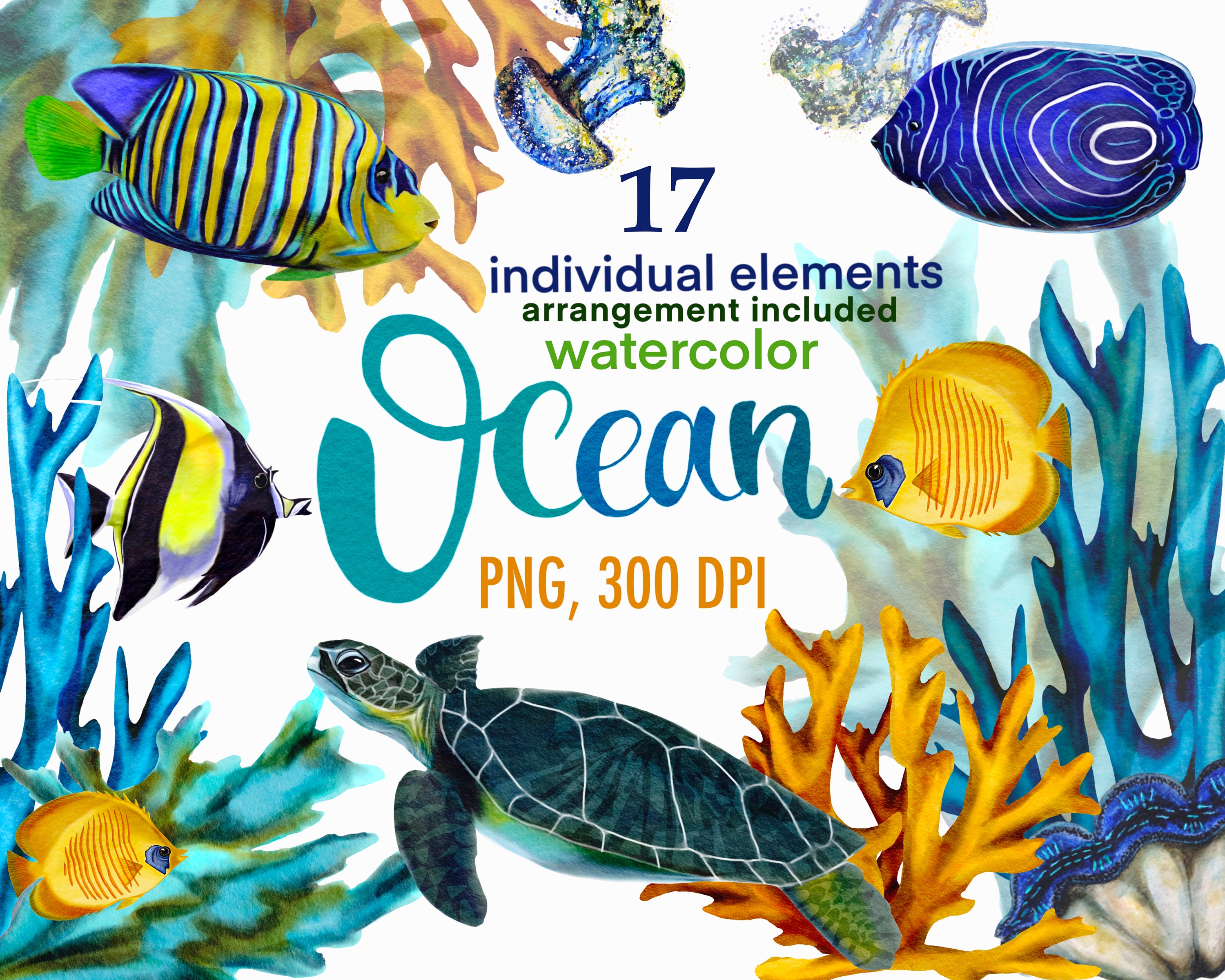 Watercolor Ocean Clipart Watercolor Sea Life Clipart - Etsy Canada