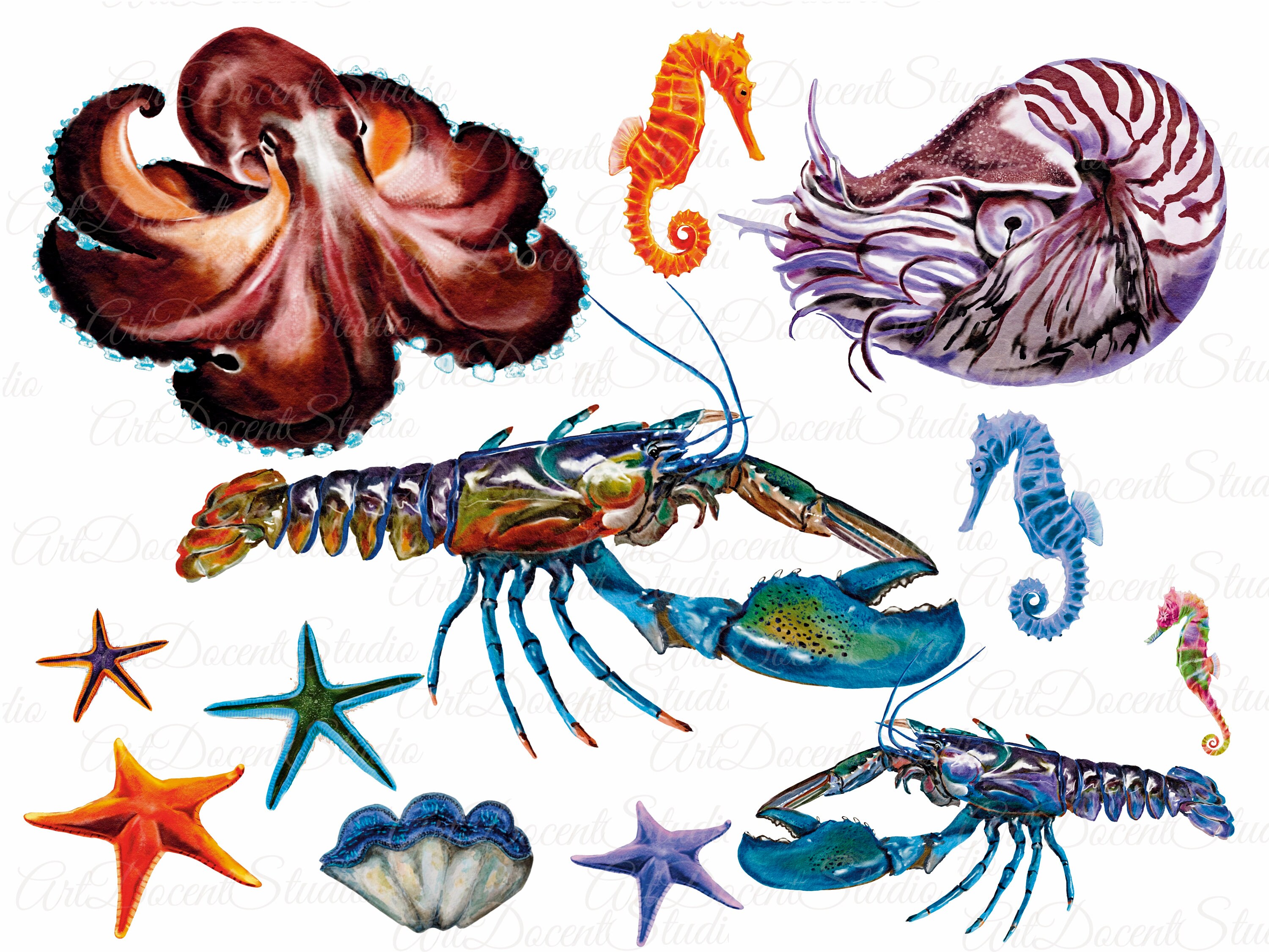 Watercolor Ocean Clipart Watercolor Sea Life Clipart - Etsy