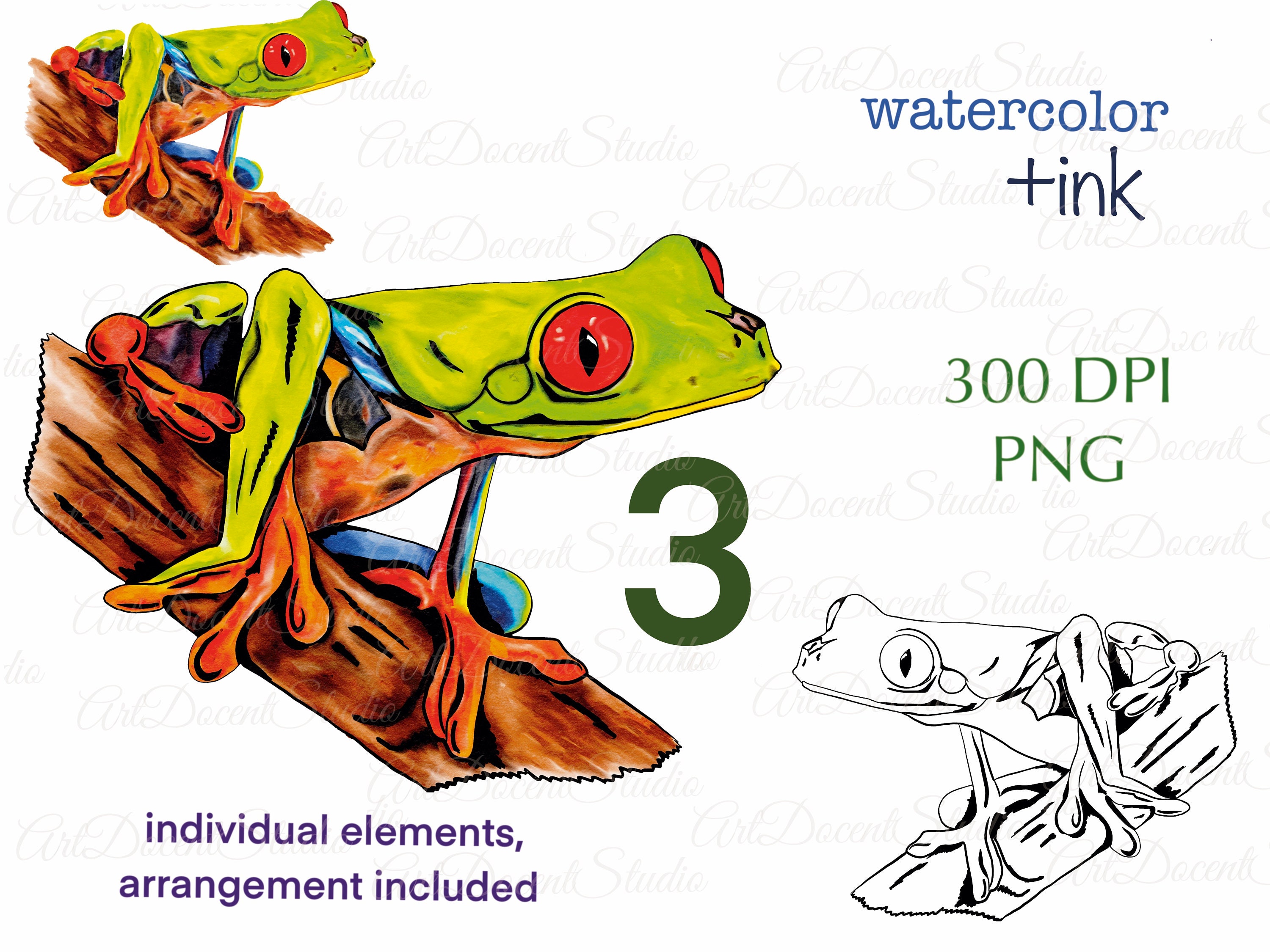 Watercolor Frogs Clipart, Watercolor Draw Wise Clipart, Watercolor ...