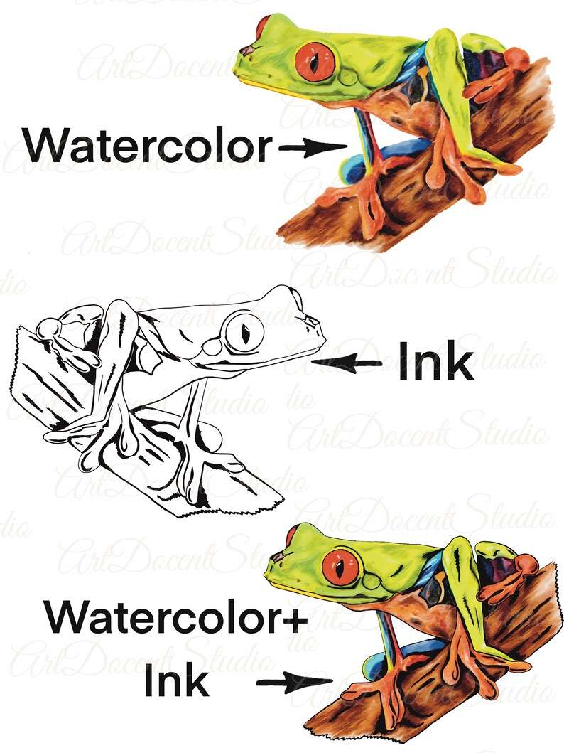 Watercolor Frogs Clipart, Watercolor Draw Wise Clipart, Watercolor ...