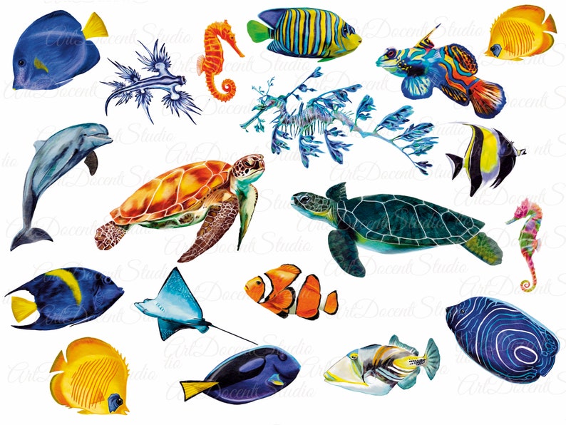 Watercolor Ocean Clipart Watercolor Sea Life Clipart Watercolor Ocean ...
