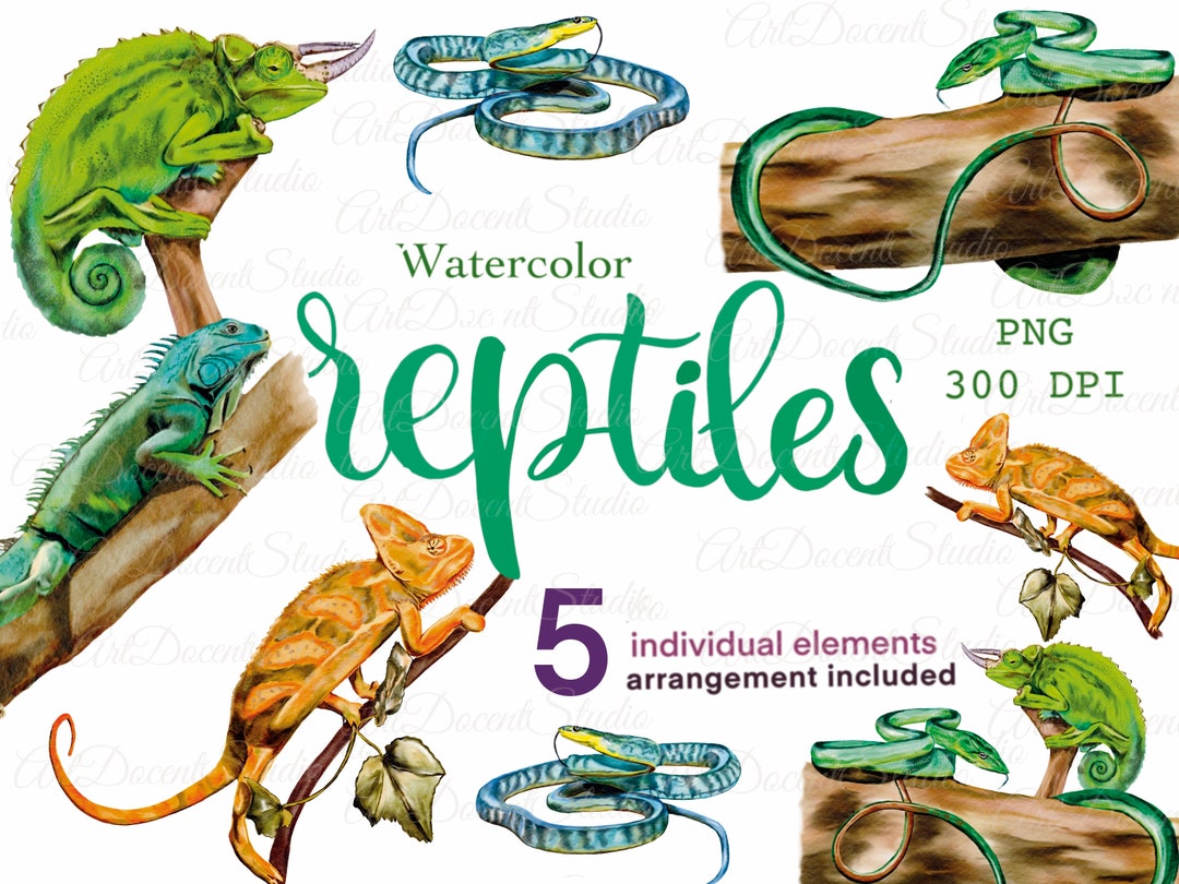 Watercolor Reptiles Clipart Watercolor Chamelion Png Clipart - Etsy