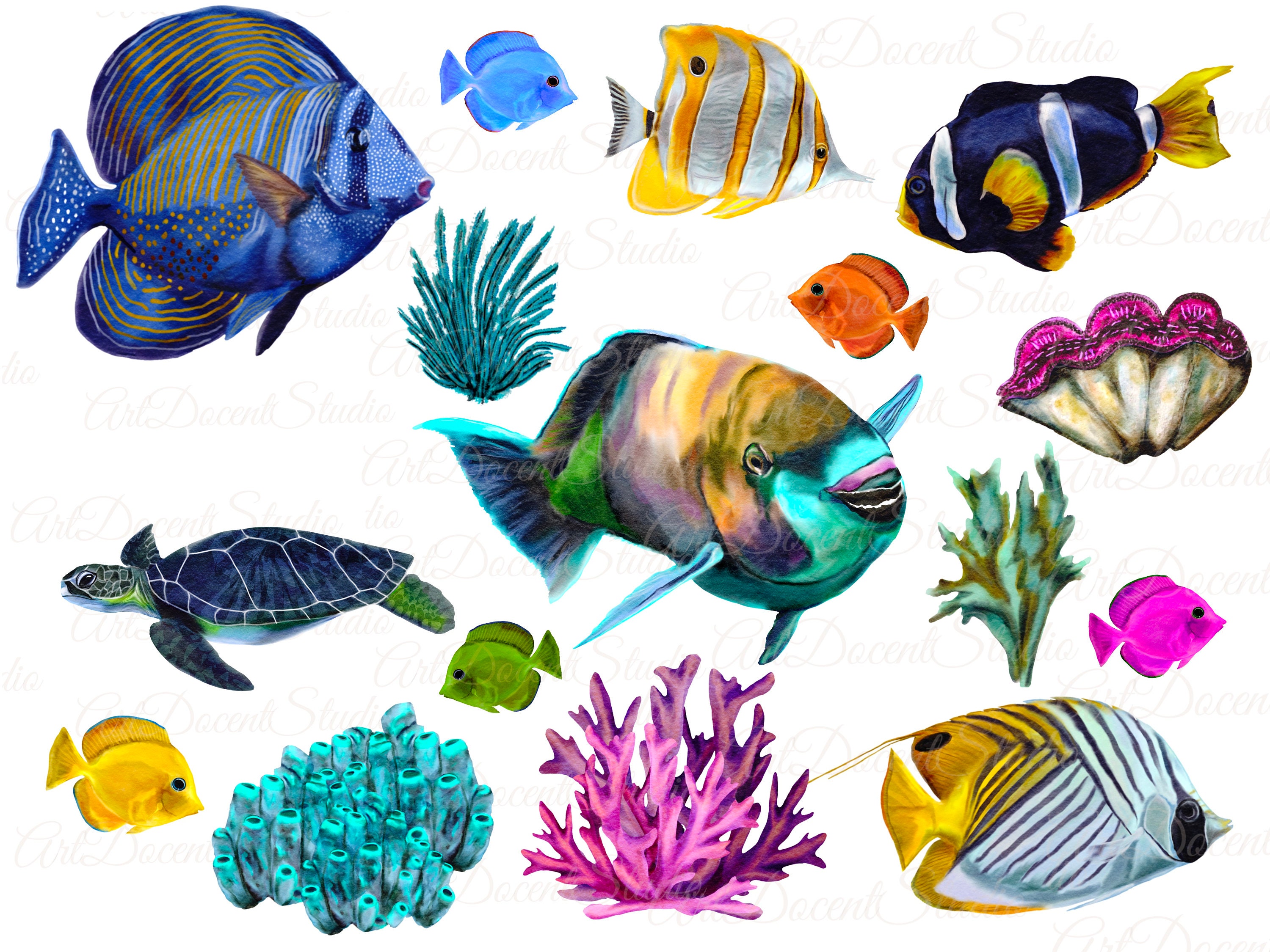 Watercolor Ocean Clipart Watercolor Sea Life Clipart - Etsy