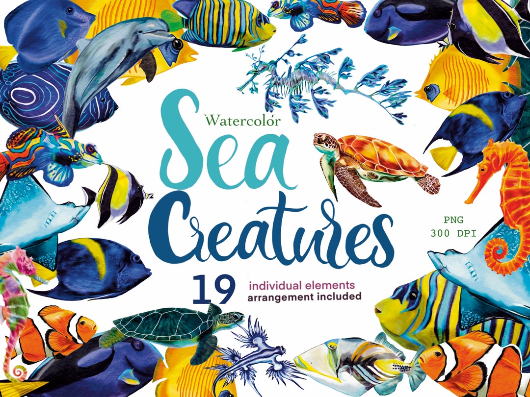 Watercolor Ocean Clipart Watercolor Sea Life Clipart Watercolor Ocean ...
