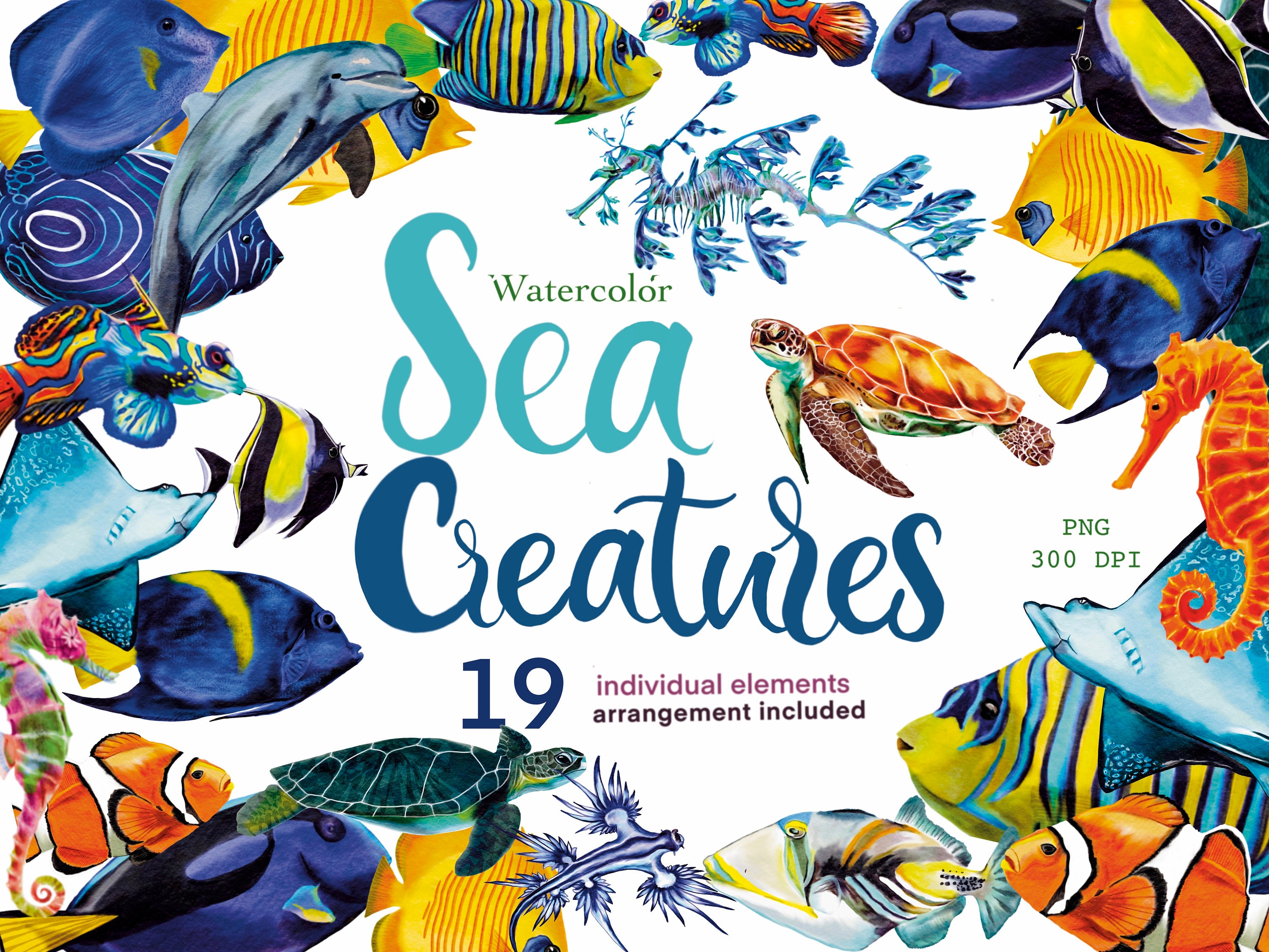 Watercolor Ocean Clipart Watercolor Sea Life Clipart Watercolor Ocean ...
