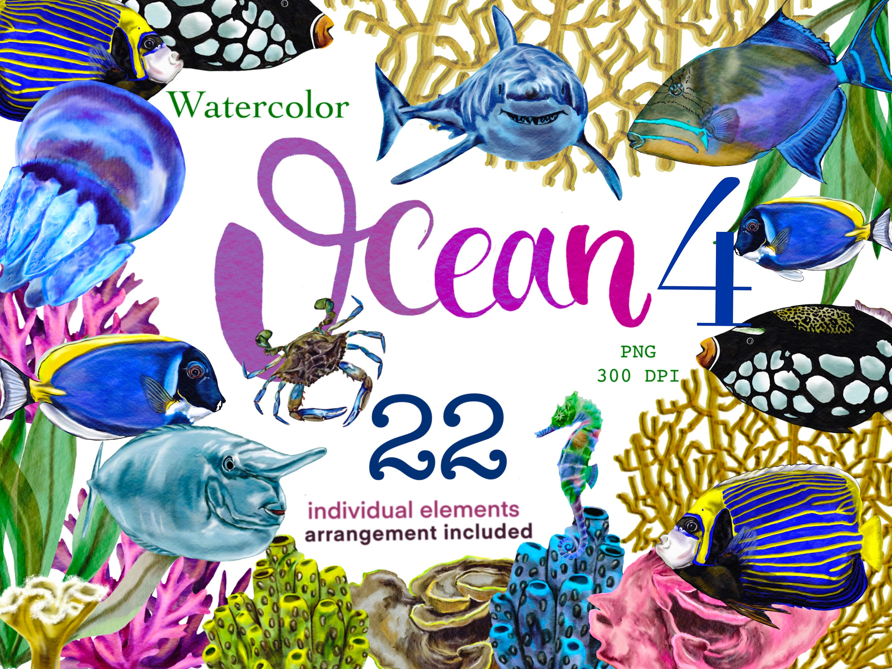 Watercolor Ocean Clipart, Watercolor Sea Life Clipart, Watercolor Ocean ...