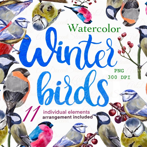 Winter Birds Clipart - Etsy