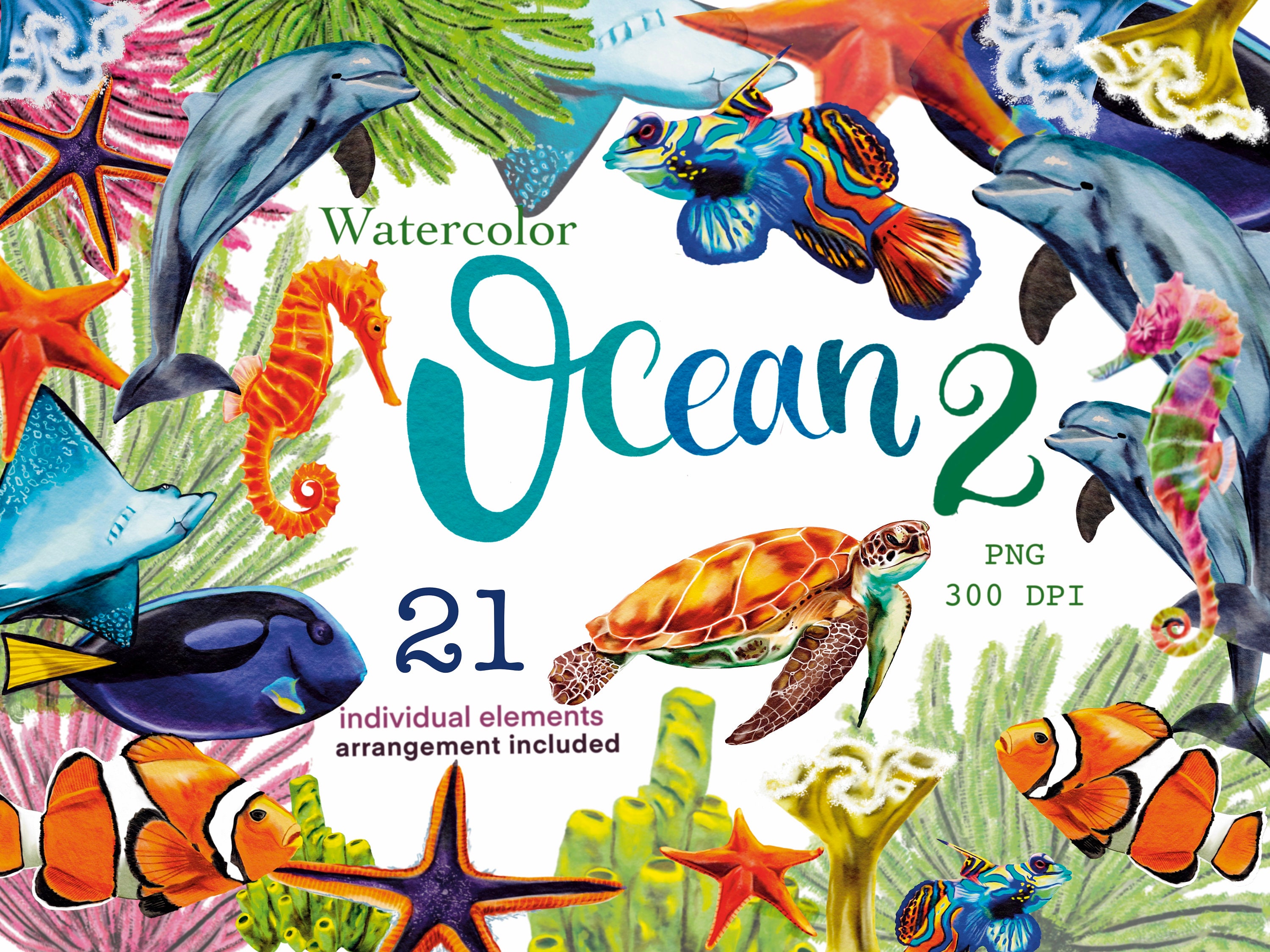 Watercolor Ocean Clipart Watercolor Sea Life Clipart - Etsy Canada