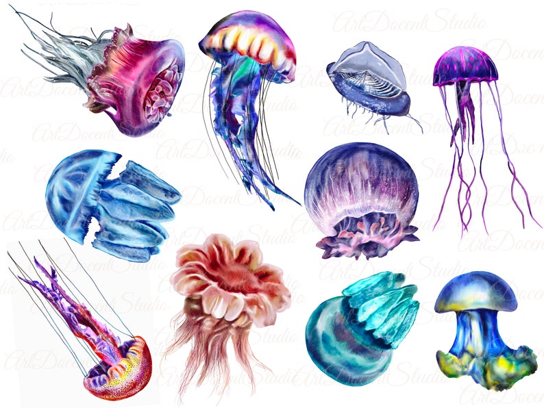 Watercolor Jellyfish Clipart Watercolor Sea Life Clipart Watercolor ...