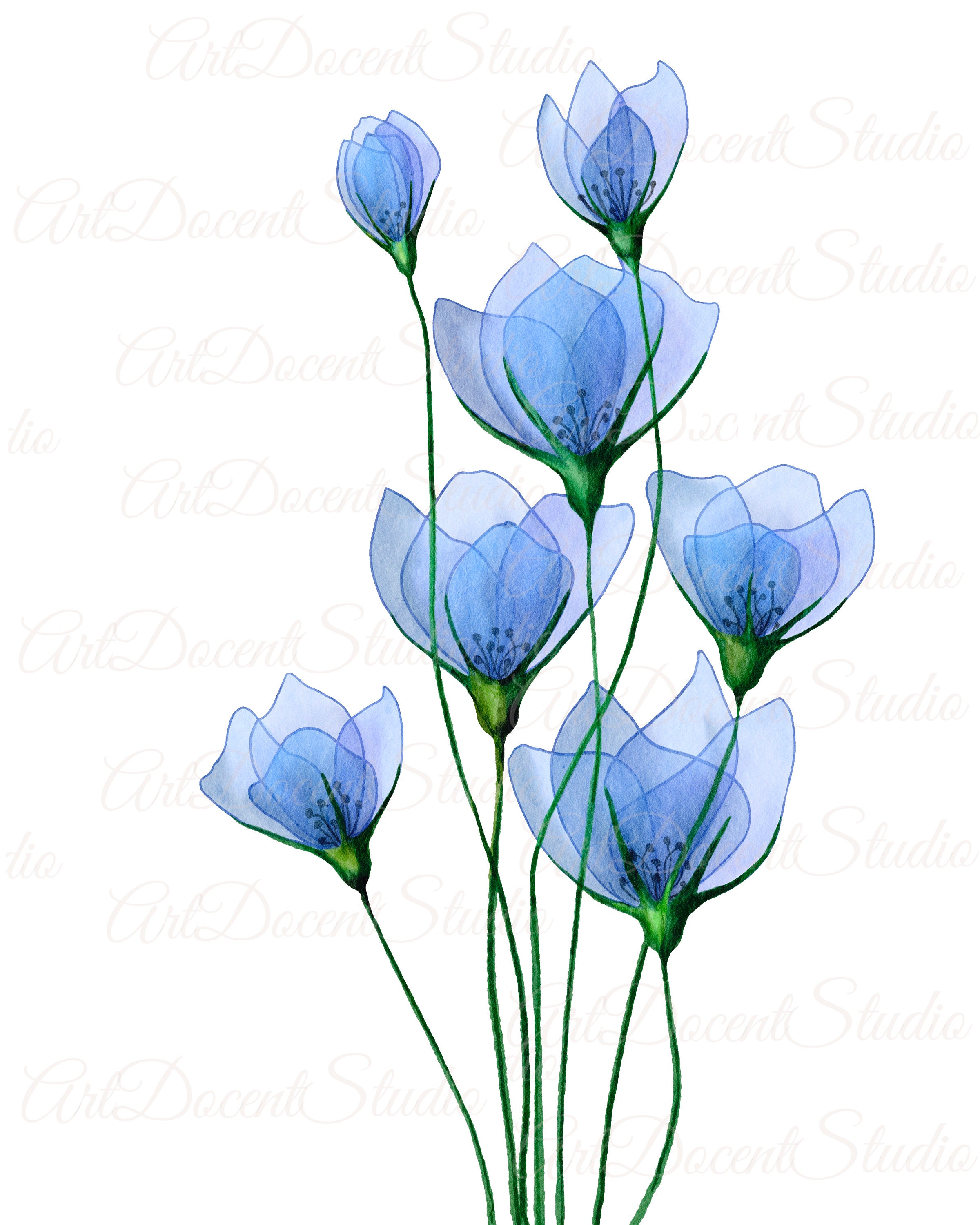 Watercolor Blue Flower Poster Digital Flower Png Watercolor Blue Flower ...