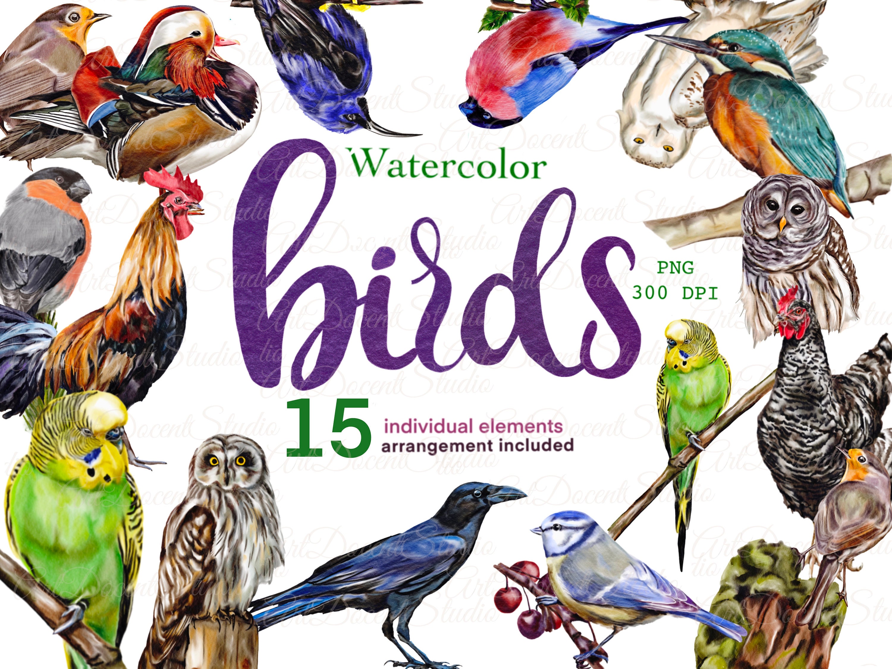 Watercolor Birds Clipart Hand Illustrated Bird PNG Watecolor - Etsy