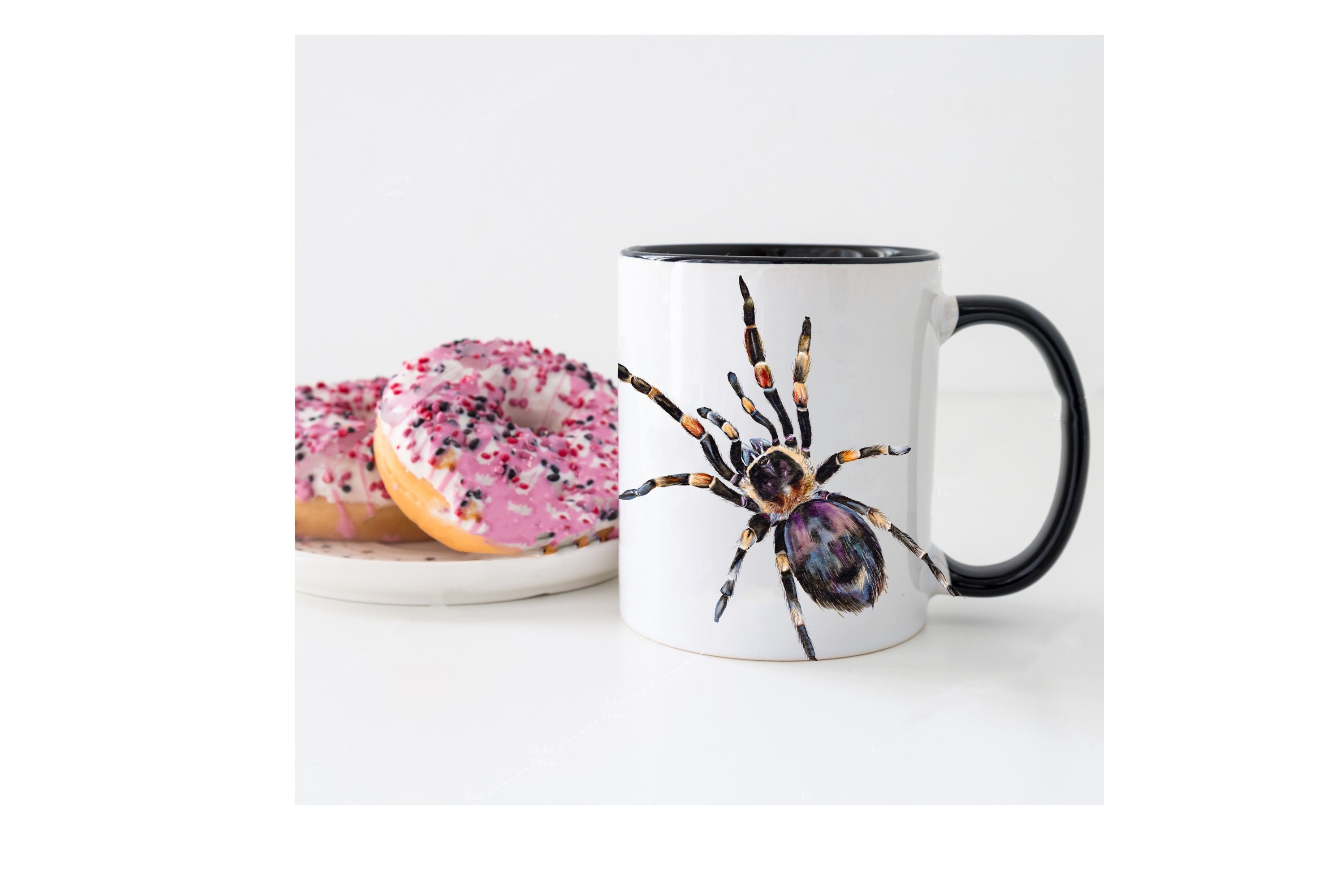 Watercolor Spider PNG Watercolor Halloween Clipart Arachnid - Etsy