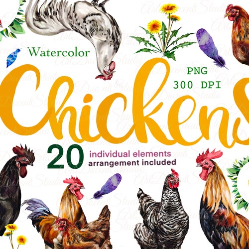 Watercolor Chickens Clipart Farm Animals Clip Art Rooster - Etsy