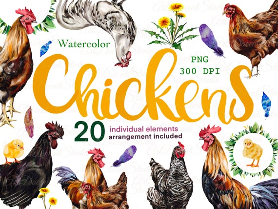 Chickens Watercolor Clipart Collection Watercolor Farm Animals - Etsy