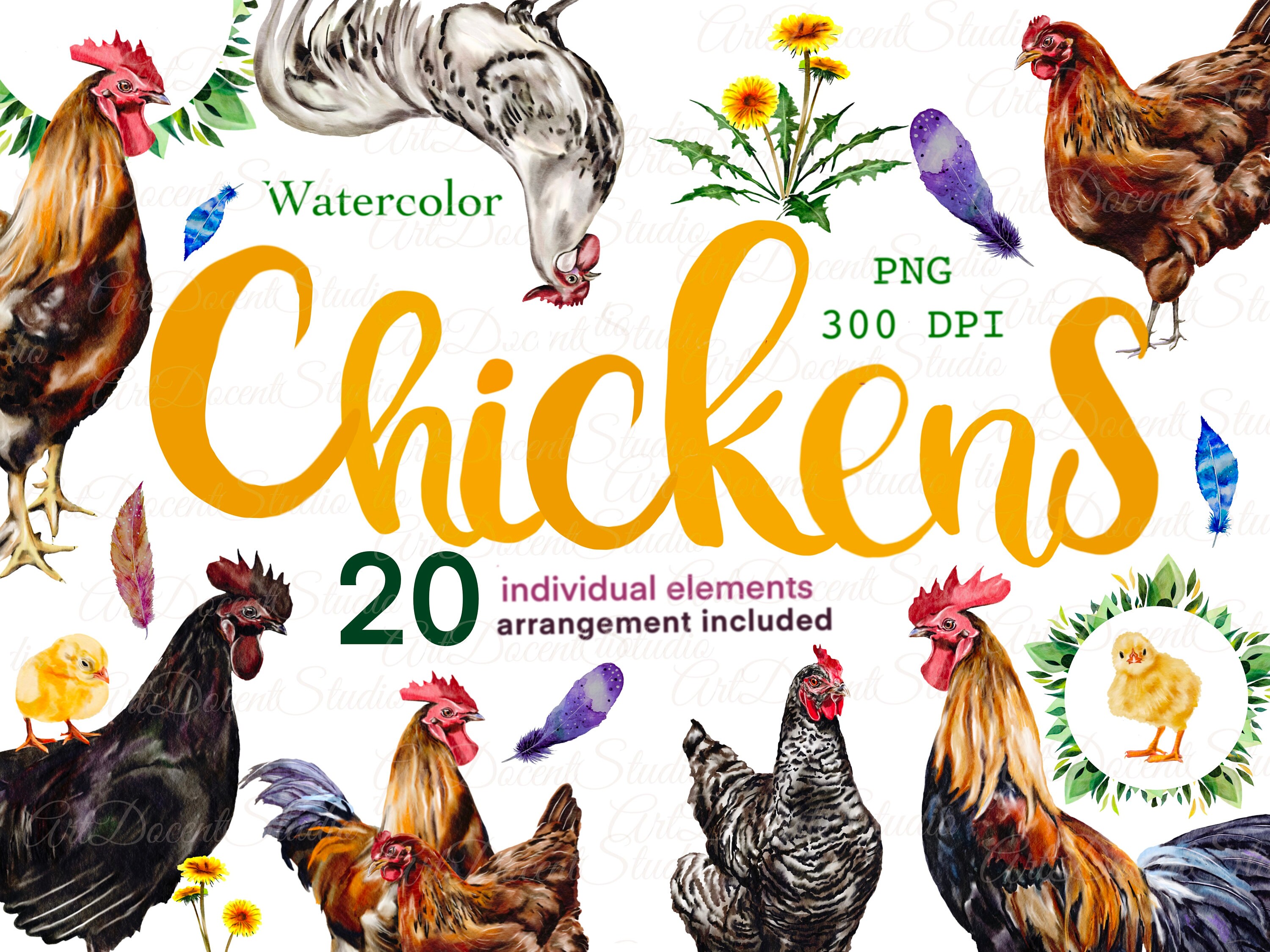 Chickens Watercolor Clipart Collection Watercolor Farm Animals - Etsy