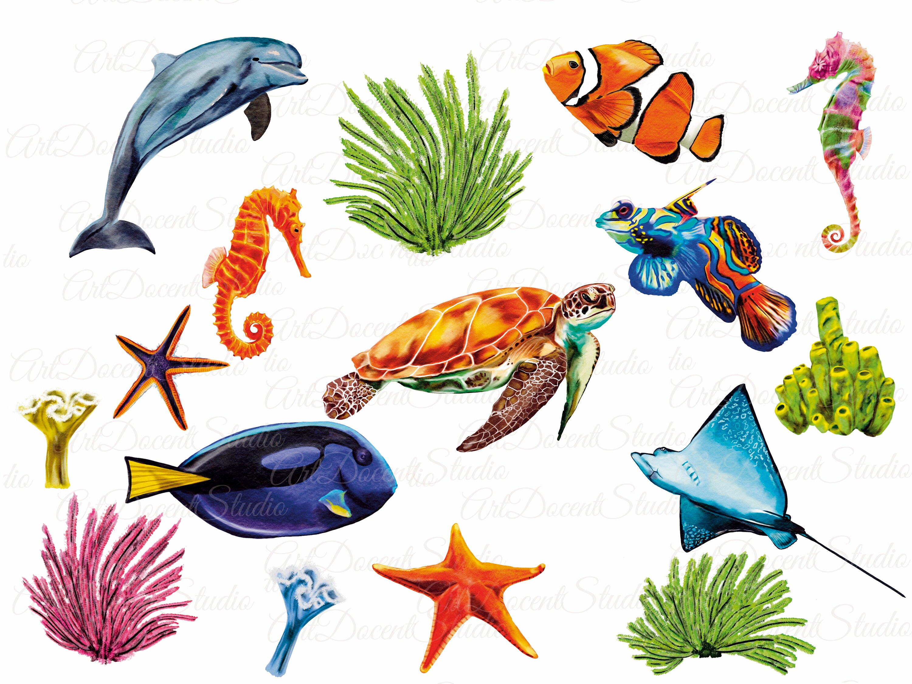 Watercolor Ocean Clipart Watercolor Sea Life Clipart - Etsy Canada