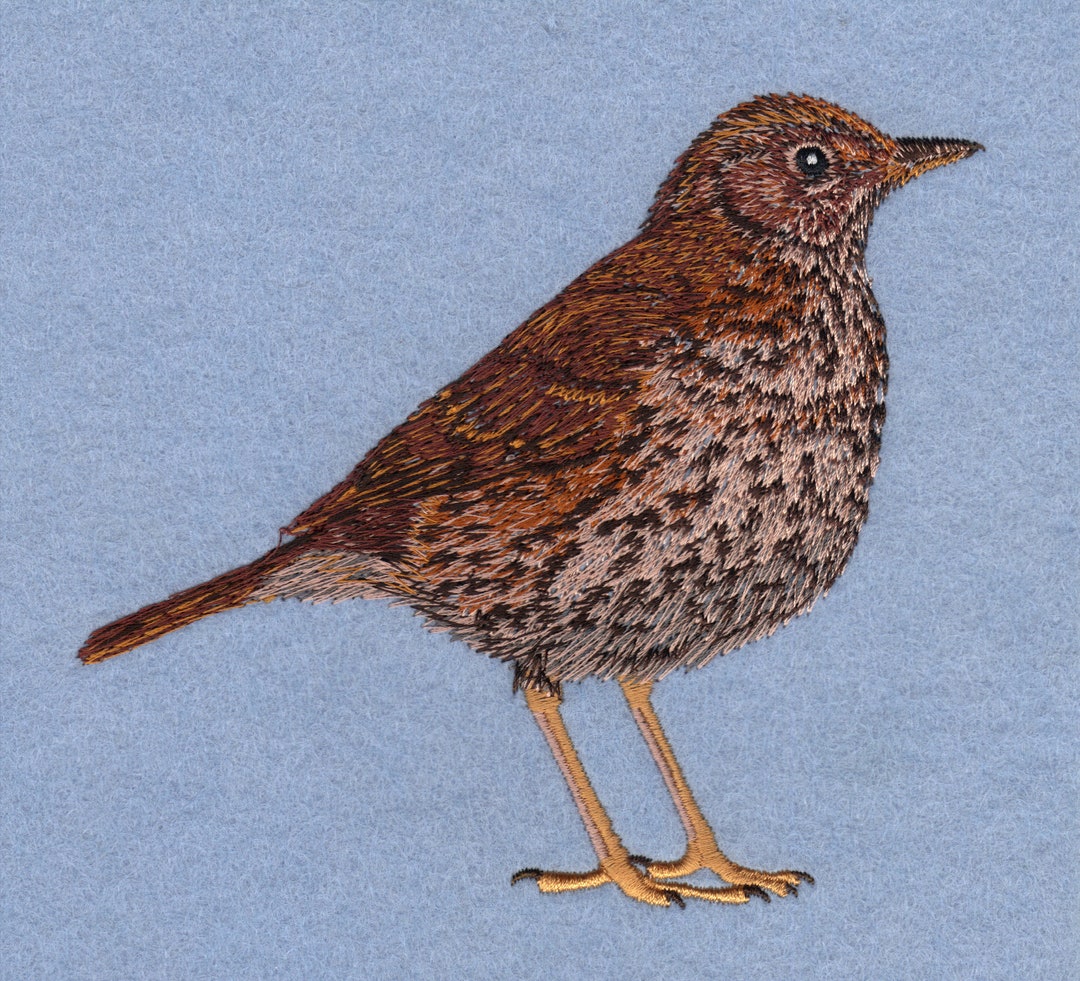 Song Thrush - Machine Embroidery Design File - Embroidery Pattern ...