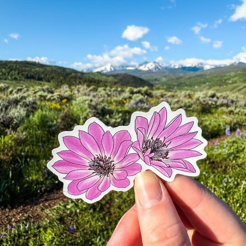 Bitterroot Flower - Etsy