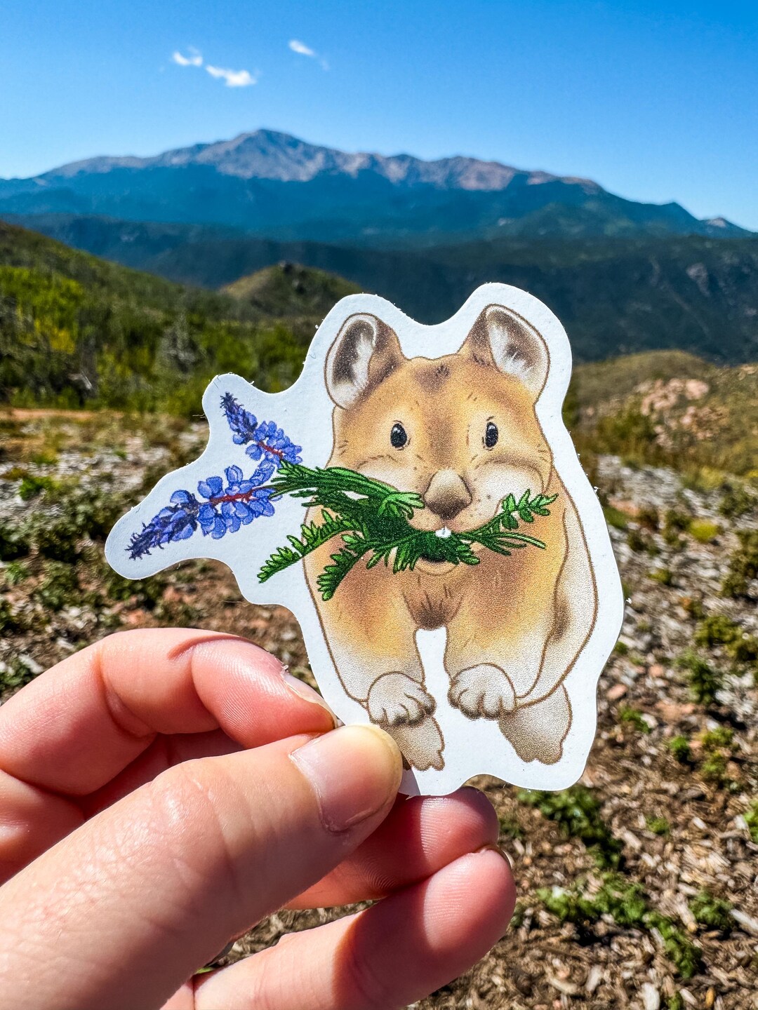 Wildflower Gathering Mountain Pika Vinyl Sticker - Etsy