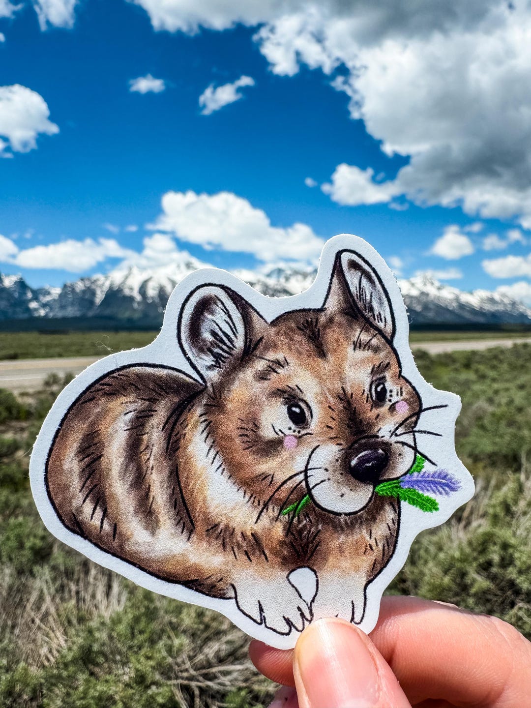 Colorado Pika Vinyl Sticker - Etsy