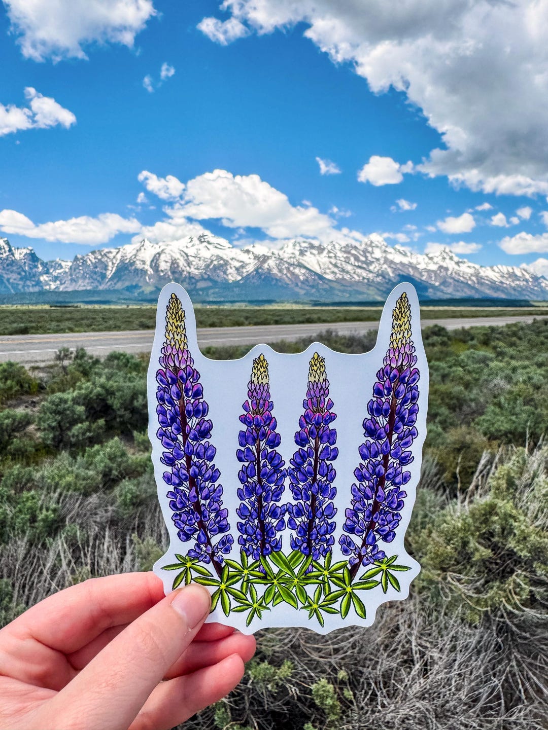 Purple Lupine Wildflower Vinyl Sticker - Etsy
