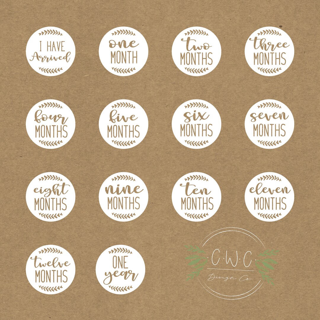 Baby Milestone Design Bundle // Cute Baby Design Files // DIY 12 Month ...