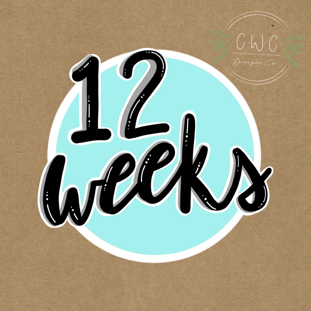 12 Week Milestone Design // Baby // Puppy // Lifestyle - Etsy