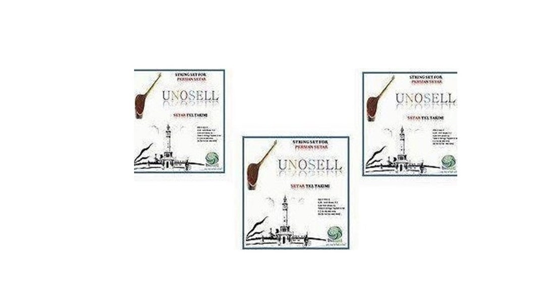 3 X String Set for Persian String Instrument Setar - Etsy