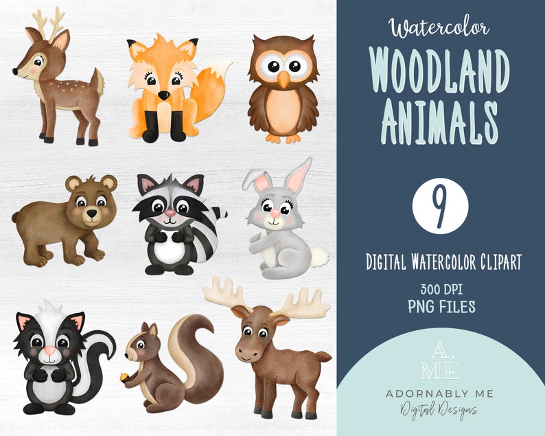 Woodland Animals PNG Clipart Watercolor Woodland Animals | Etsy