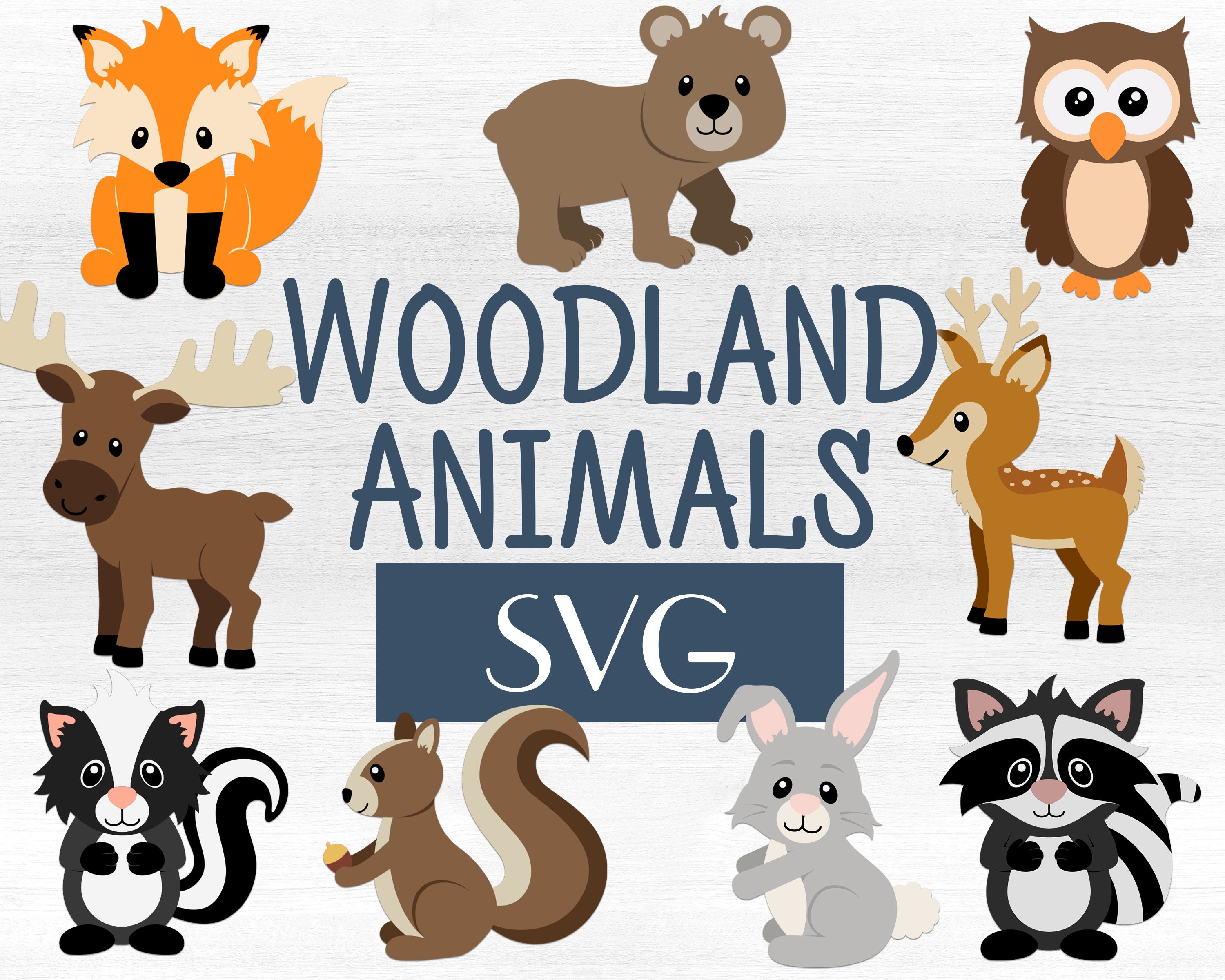 Woodland Animals SVG & PNG Set Instant Download for Cricut | Etsy