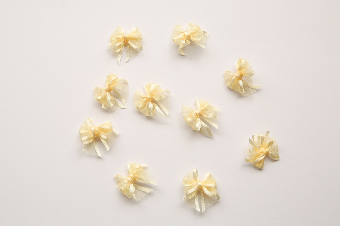 Small Organza Ribbon Bows X 10 Craft Bows, Peach Organza Bows, Little ...