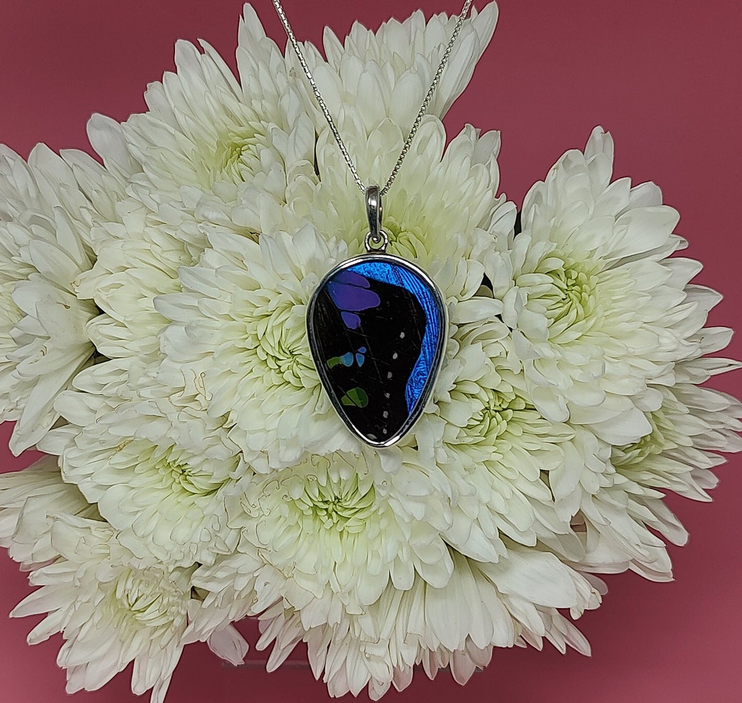 Real Butterfly Wing Pendant Necklaces, Inverted Teardrop Pendant ...