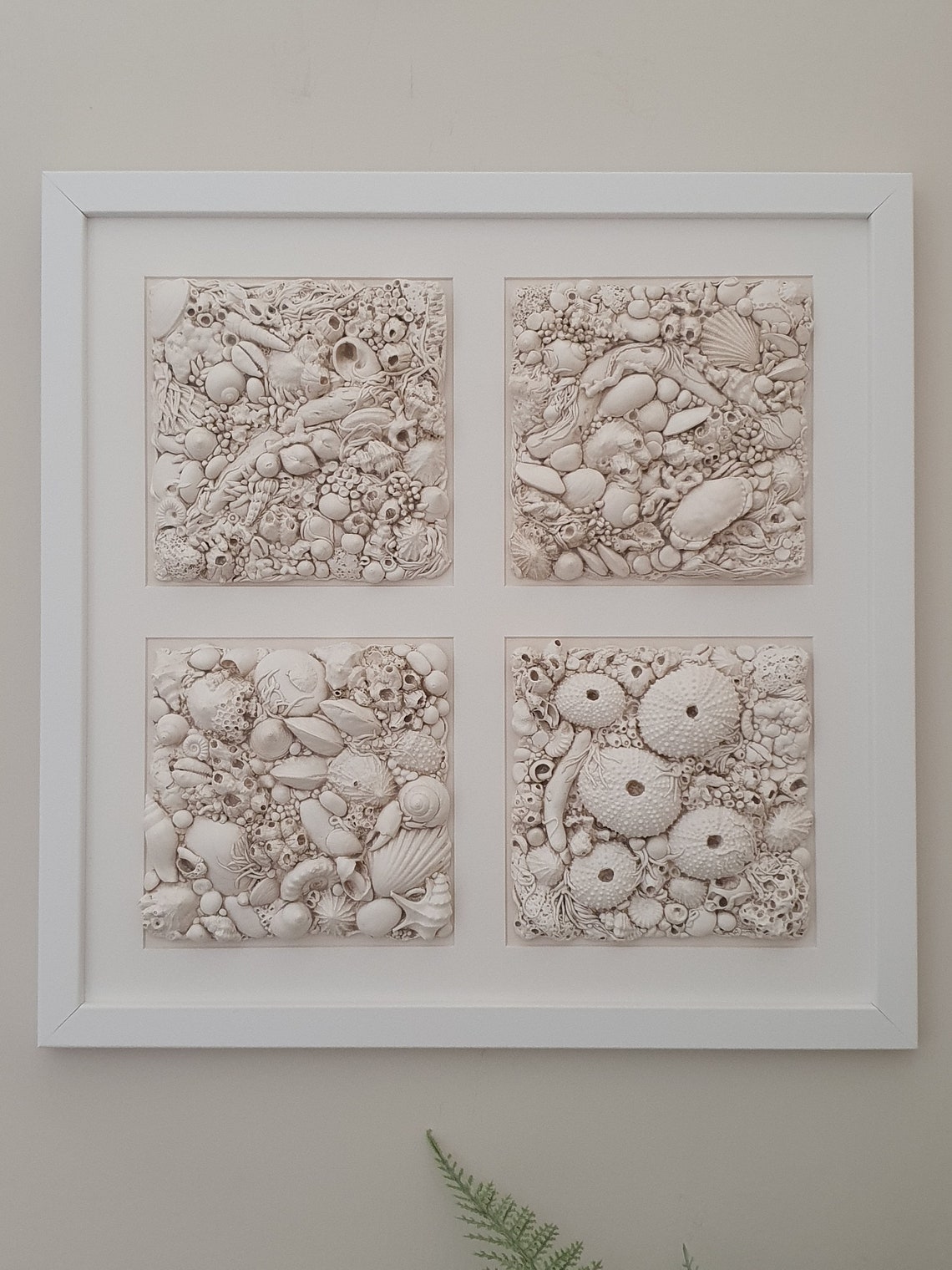 Framed Quadruple Seashell, Seashore Sculpture Coastal Wall Art - Etsy