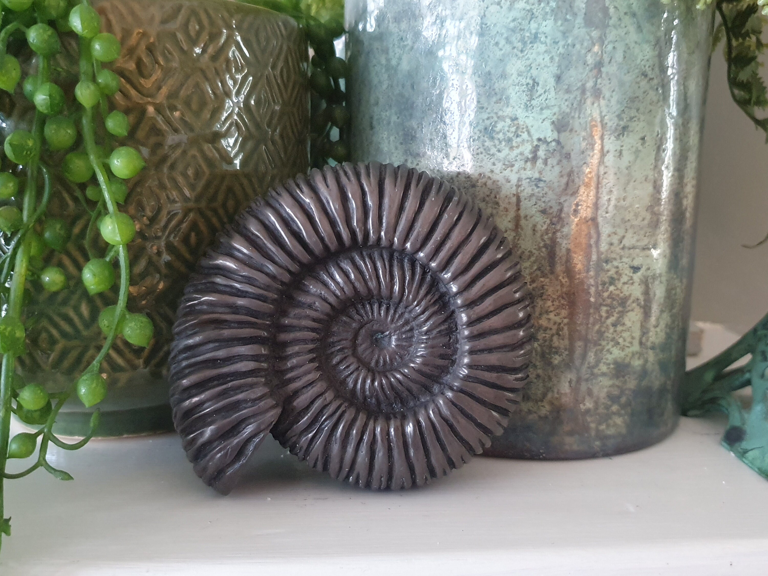 Cold Cast Bronze Resin Ammonite Sculpture - Etsy UK
