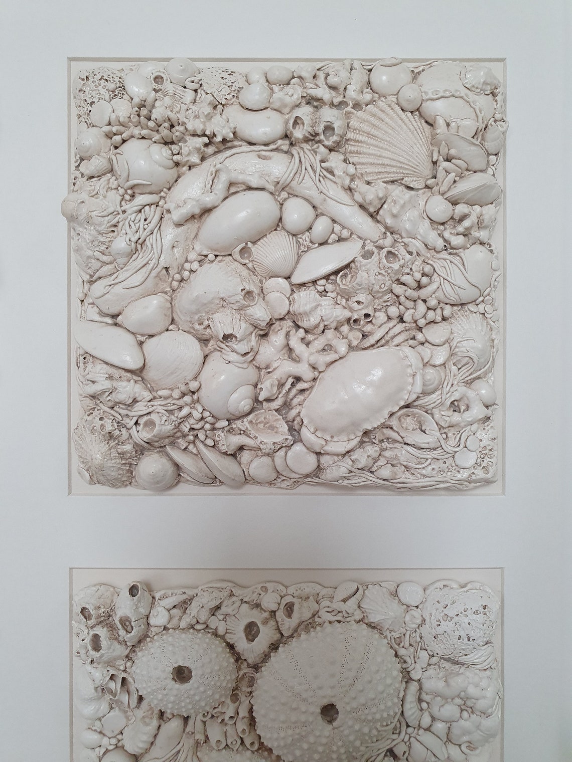 Framed Quadruple Seashell, Seashore Sculpture Coastal Wall Art - Etsy