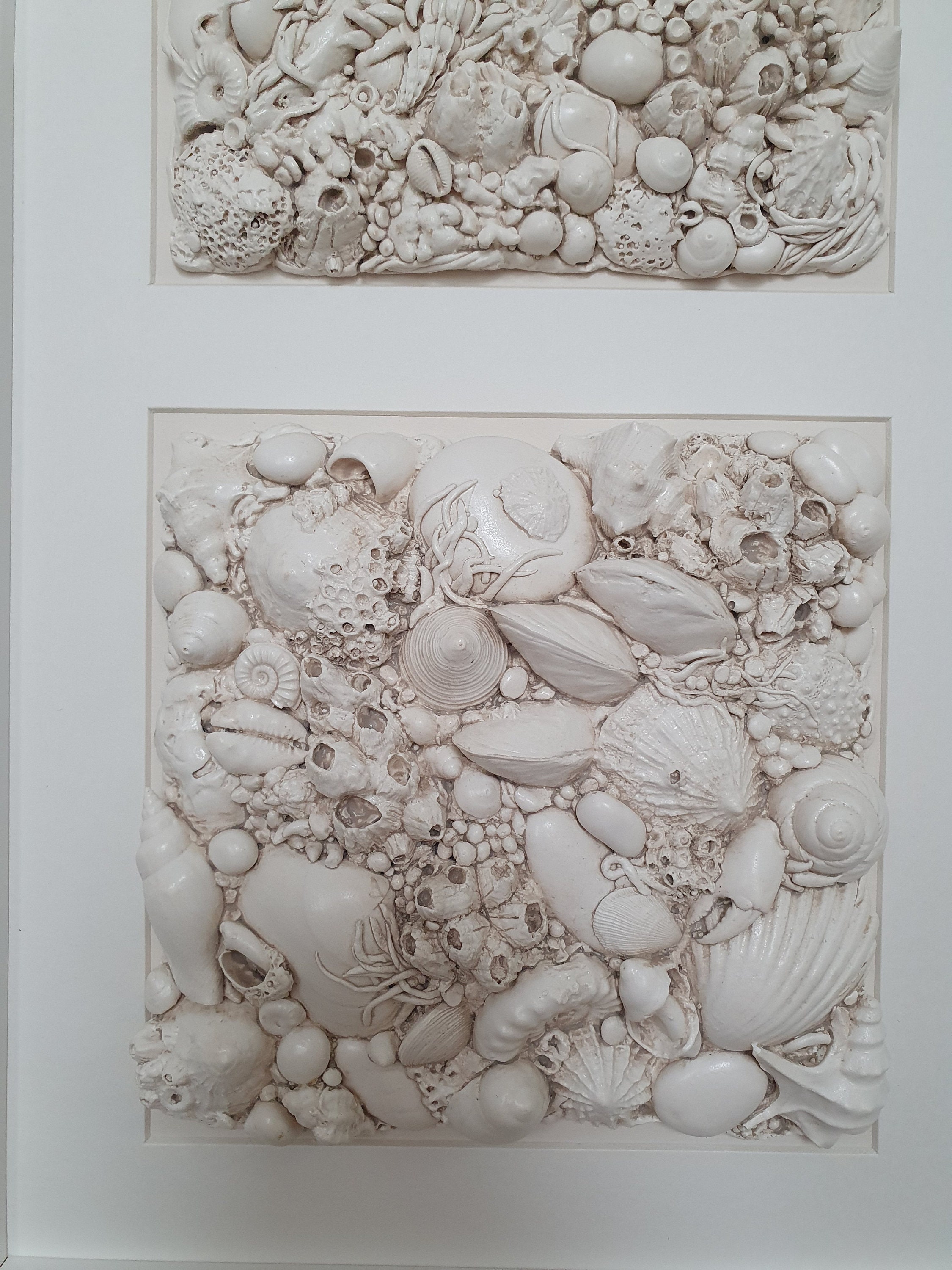 Framed Quadruple Seashell, Seashore Sculpture Coastal Wall Art - Etsy