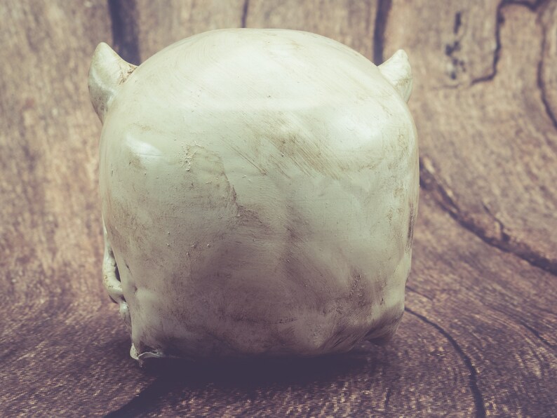 Triclops Devil Baby Skull Replica 3D Printed Vegan - Etsy