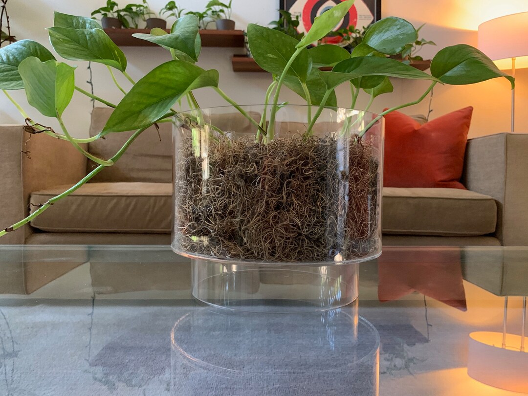 New GHOST Planter, Cylinder Planter, Mushroom Shape, Mid Century Modern ...