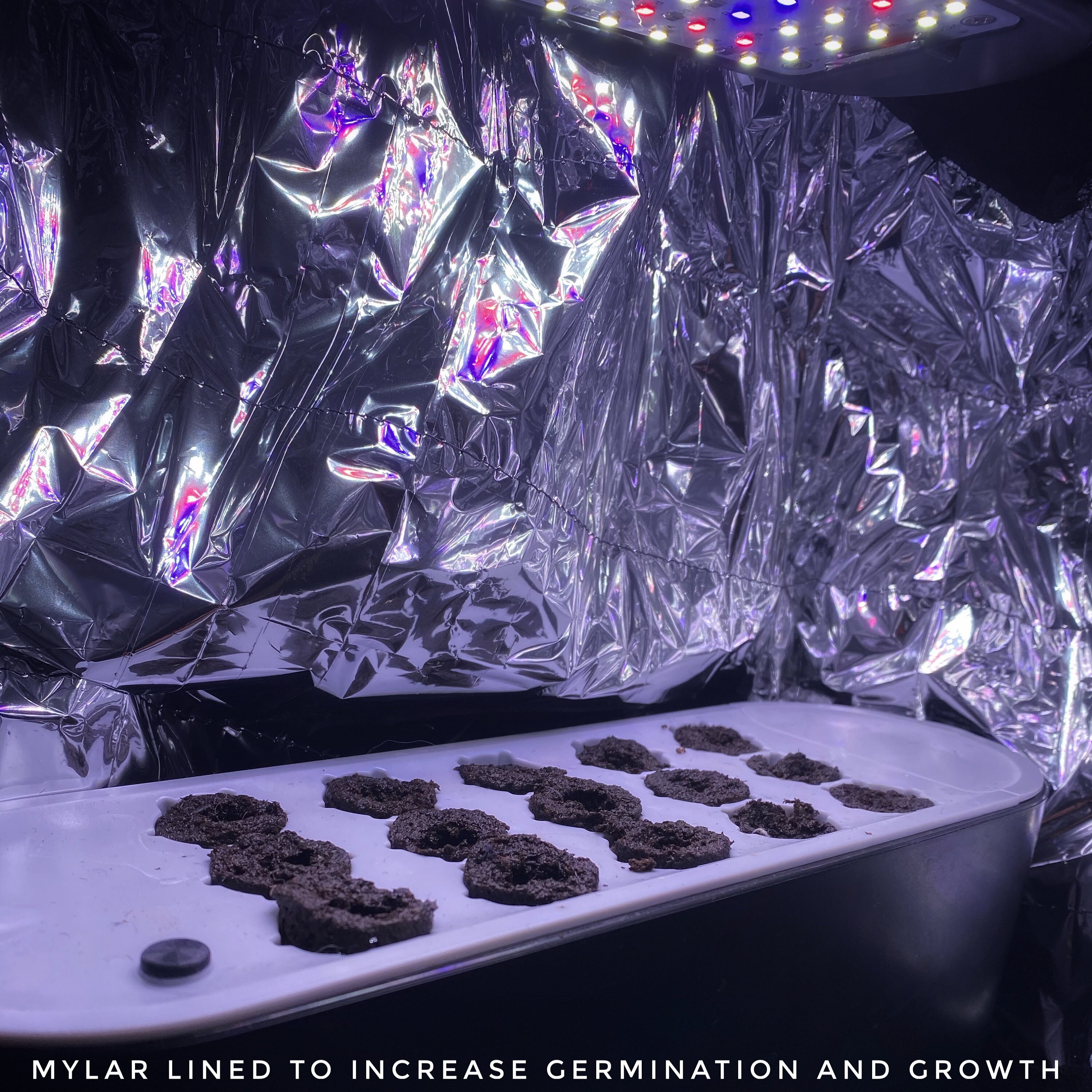 Aerogarden Sprout Cover: Mylar Germination Tent, Light Shield - Etsy