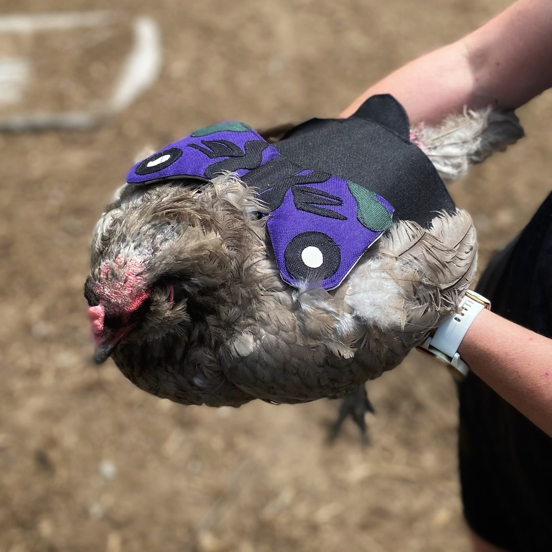 Chicken Saddle With Wing Guard, Chicken Apron, Chicken Costume, Hen ...