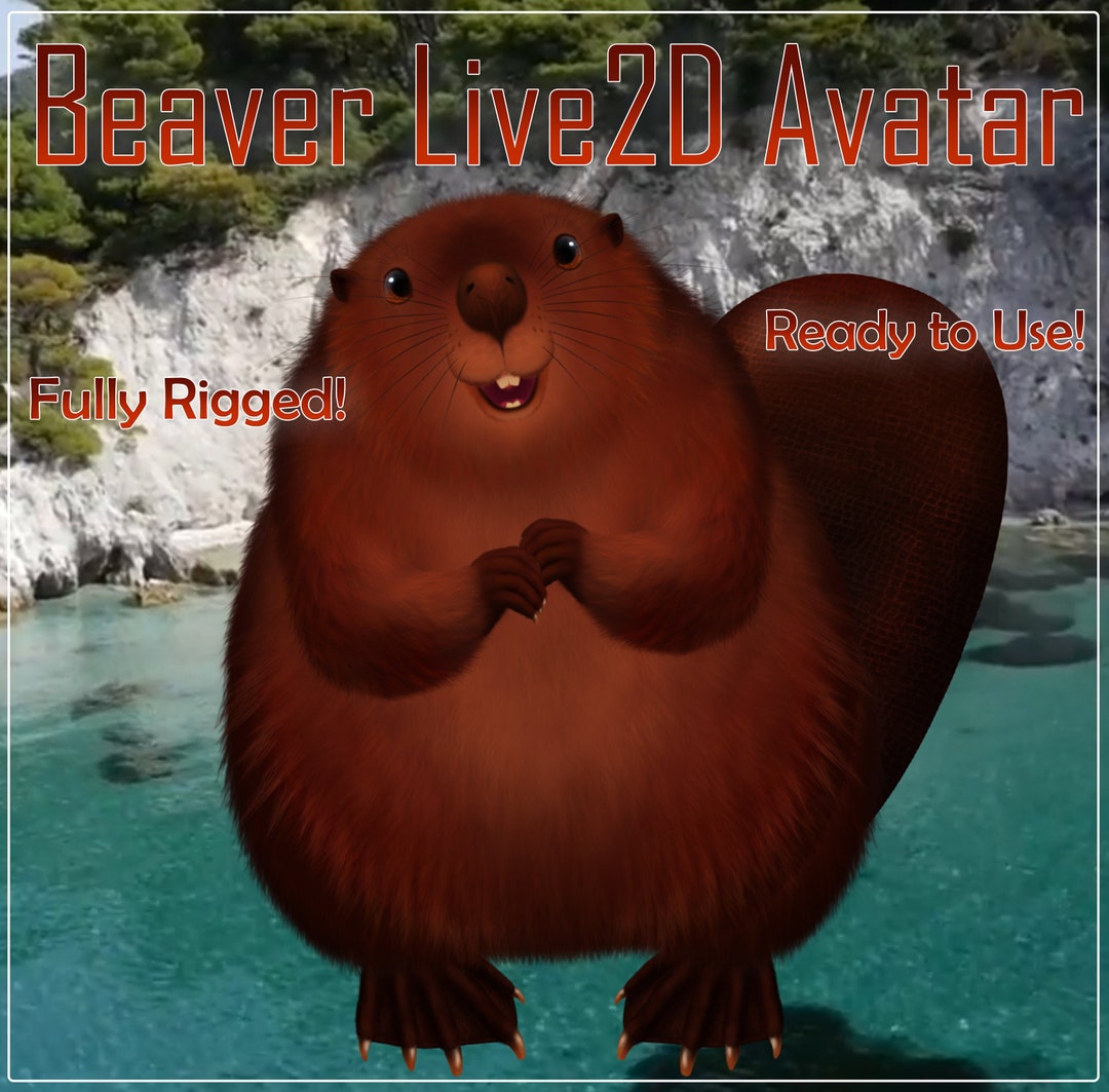 Beaver Vtube/live2d Avatar - Fully Rigged! - Etsy
