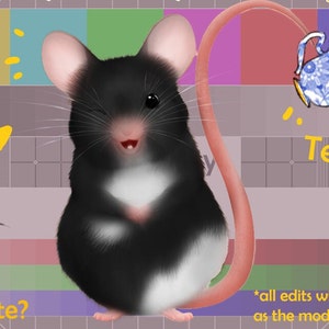 Mouse Live2d/vtube Avatar - Fully Rigged - Etsy