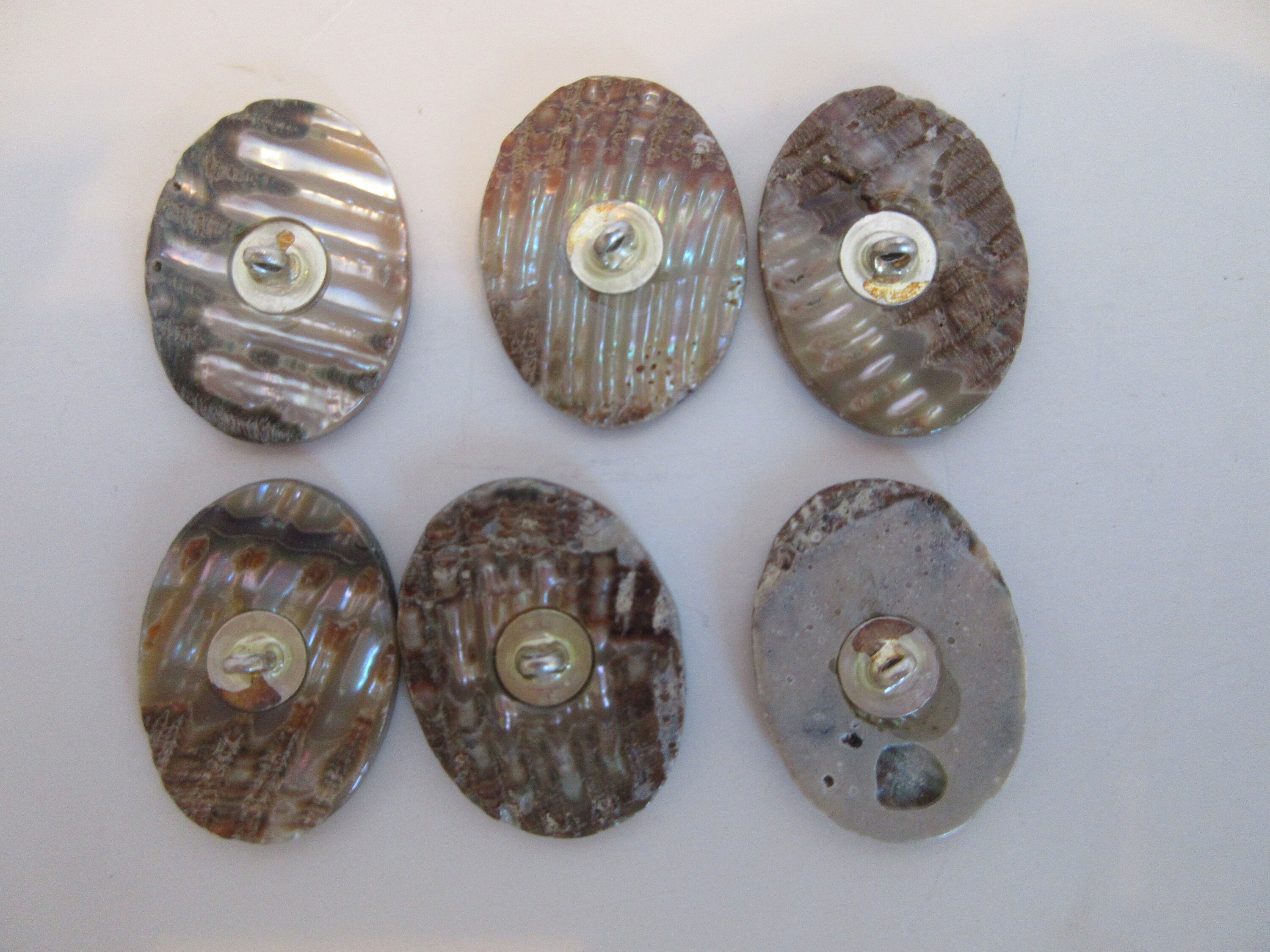 Closures & Fasteners Sewing Buttons 13 Iridescent Shell ABALoNE buttons ...