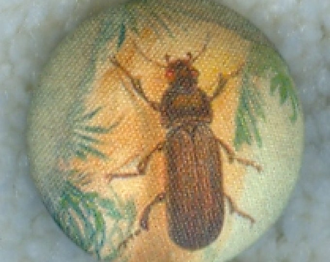 Lilac Bow Yoke Fabric Covered Button of an Insect, From the 1990s ...