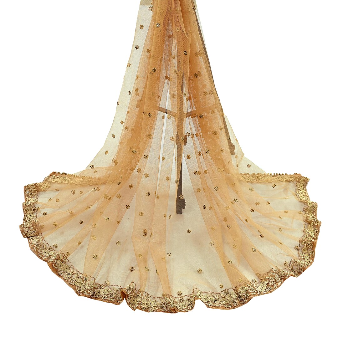 Indian Vintage Beige Dupatta Net Mesh Long Stole Hand Embroidered ...